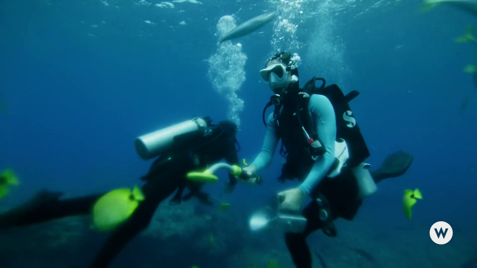 A female diver, a male diver, and a ring - Frogwoman Org