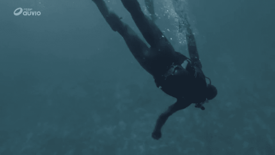 Frogwoman Org - Female scuba divers in action, including scuba fights ...