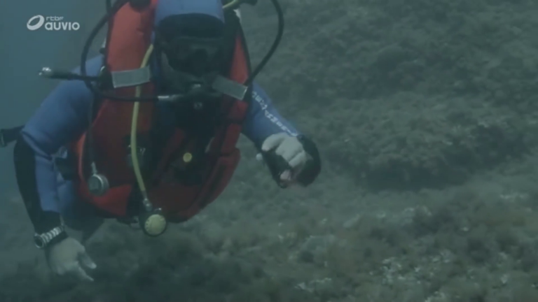 Frogwoman Org - Female scuba divers in action, including scuba fights ...