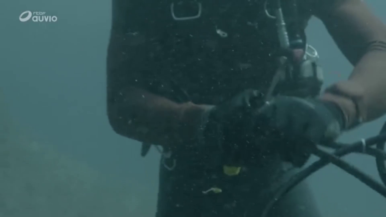 Scuba Peril Archives - Frogwoman Org