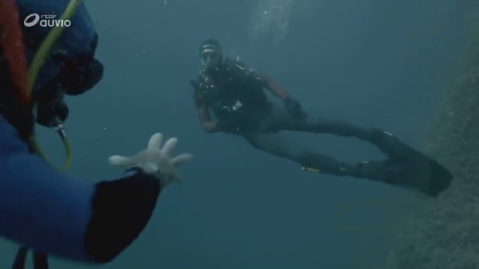 Frogwoman Org - Female scuba divers in action, including scuba fights ...