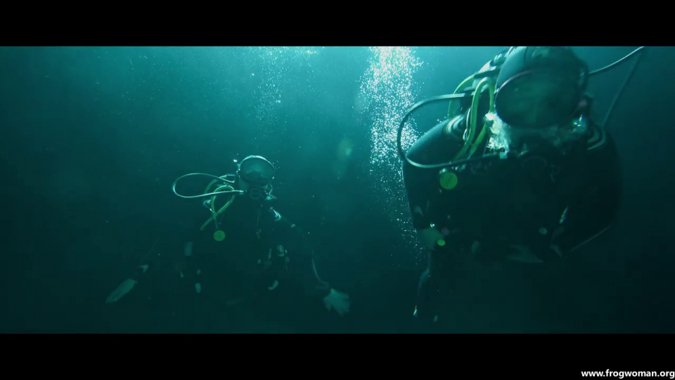 Movies / TV-series Archives - Frogwoman Org