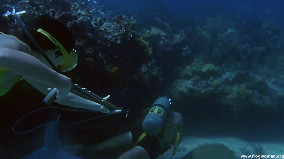 Frogwoman Org - Female scuba divers in action, including scuba fights ...