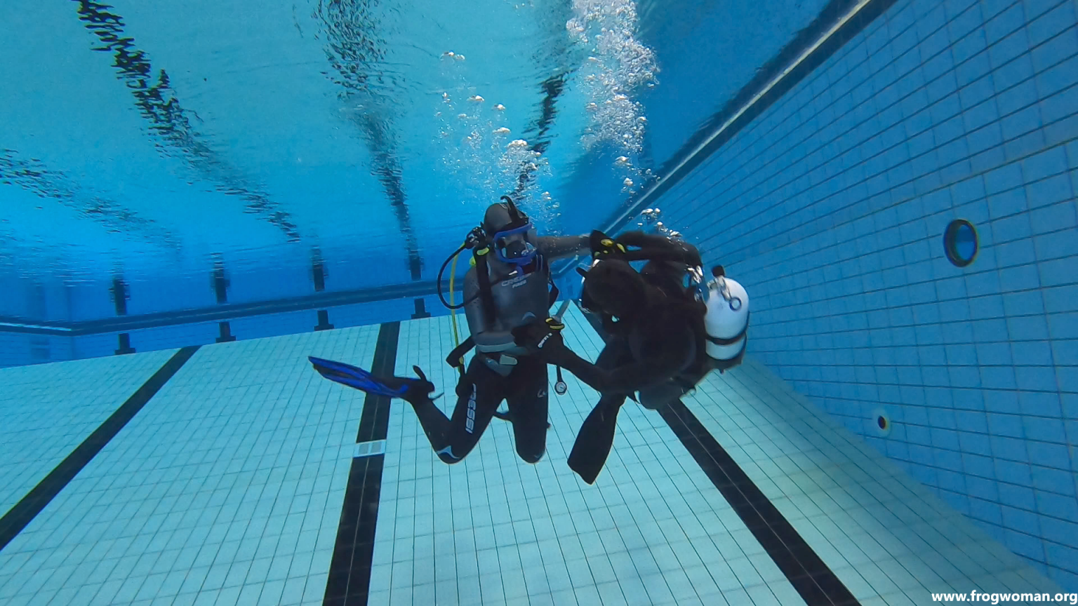 scuba fight Archives - Frogwoman Org