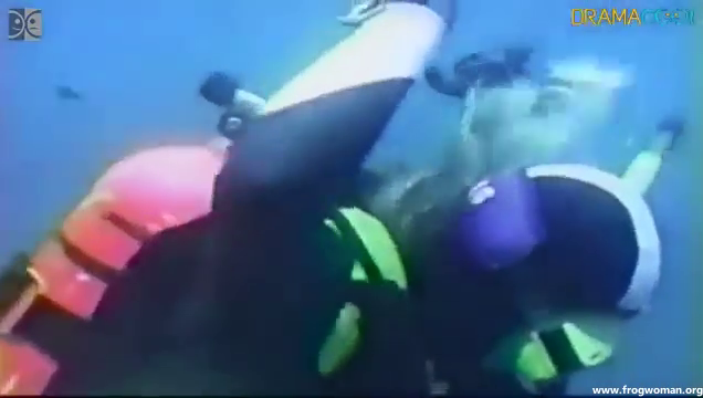 The two divers and the deadly net - Frogwoman Org