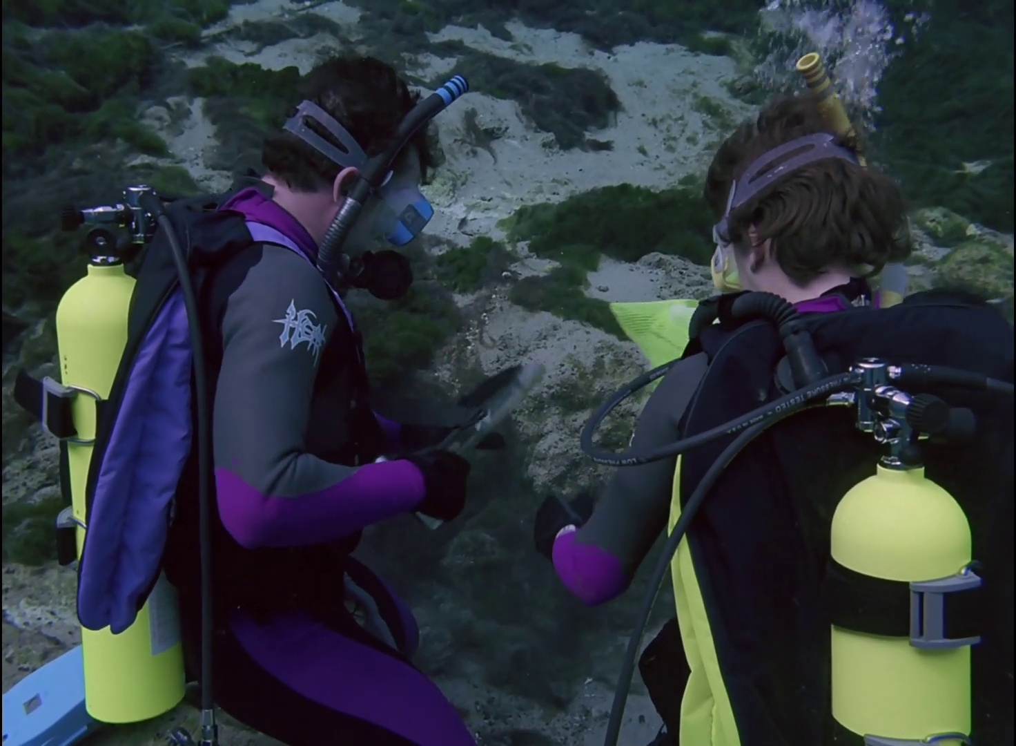 A male and a female diver.... and some monster! [Blog exlusive ...