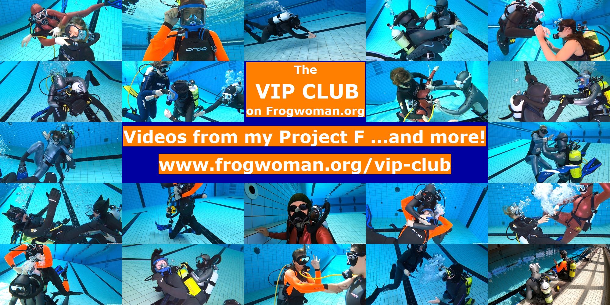 Frogwoman VIP Club: November 2025 - Frogwoman Org